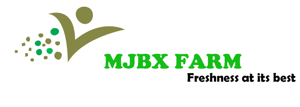 MJBX Farm – Freshness At Its Best